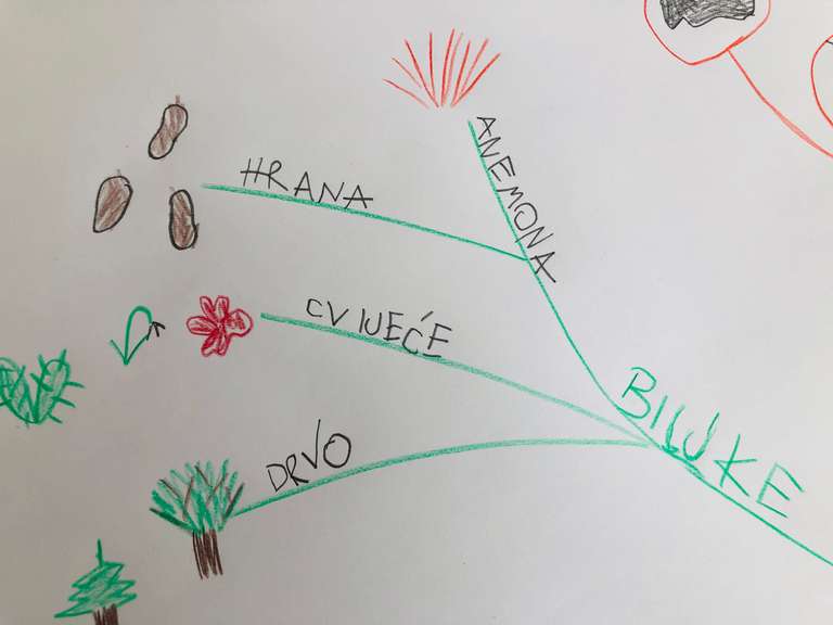 Umne (mentalne) mape za djecu i roditelje - Znanost za roditelje